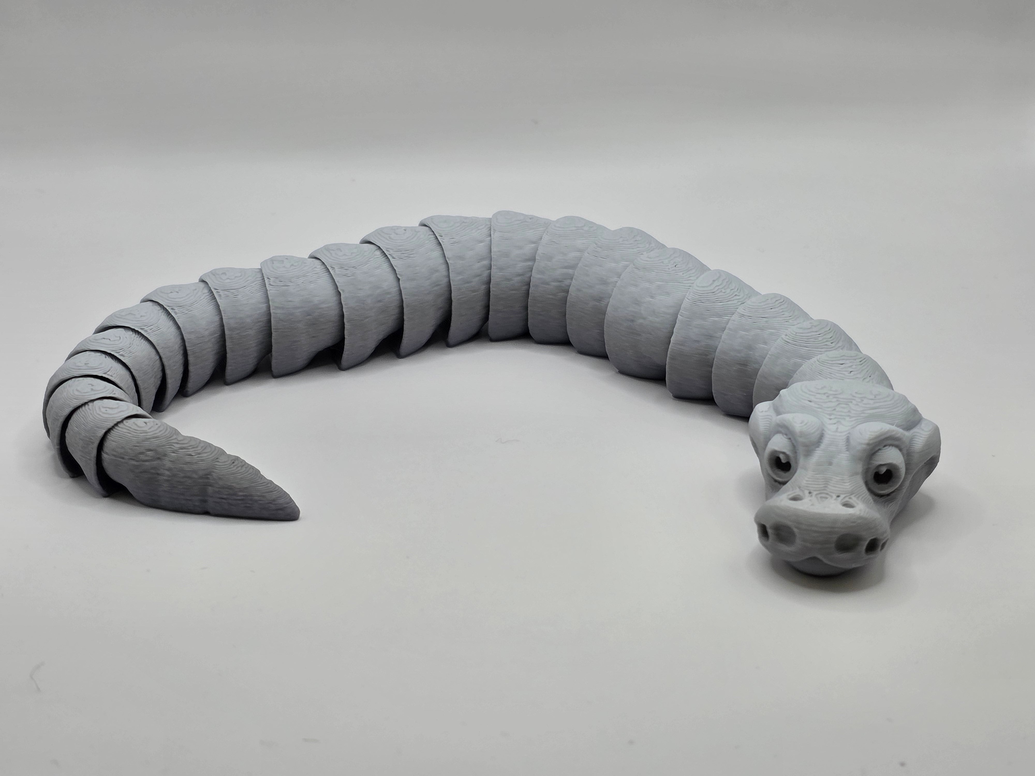 Ball Python – S & P Designs